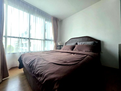 ให้เช่า 1 ห้องนอน 1 ห้องน้ำ Centrio Condo ใจกลางภูเก็ต เพียง 13,000 บาท ...